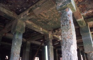 Common Concrete Damages and its Prevention – Civil Engineer